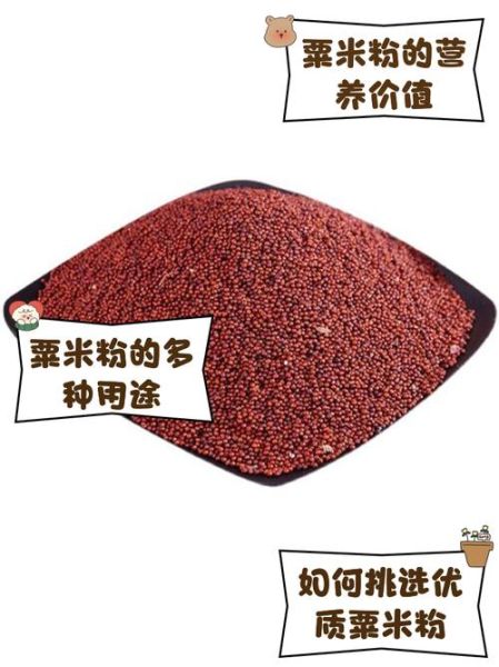 粟米粉可以做哪些糕点_粟米粉糕点做法大全-第3张图片-山城妙识 粟米粉可以做哪些糕点_粟米粉糕点做法大全-第3张图片-山城妙识