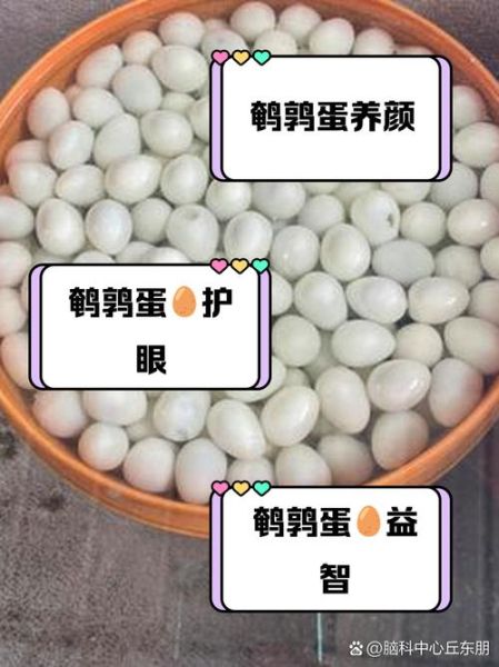 吃鹌鹑蛋的禁忌_鹌鹑蛋不能和什么一起吃-第2张图片-山城妙识