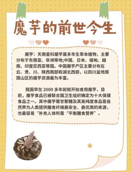 长期吃魔芋的副作用有哪些_长期吃魔芋会营养不良吗-第2张图片-山城妙识 长期吃魔芋的副作用有哪些_长期吃魔芋会营养不良吗-第2张图片-山城妙识