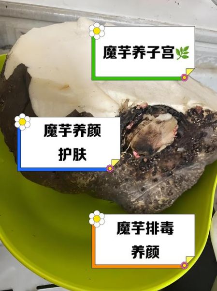 长期吃魔芋的副作用有哪些_长期吃魔芋会营养不良吗-第3张图片-山城妙识 长期吃魔芋的副作用有哪些_长期吃魔芋会营养不良吗-第3张图片-山城妙识