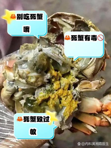 当天死的螃蟹能买吗_死蟹食用安全吗-第2张图片-山城妙识 当天死的螃蟹能买吗_死蟹食用安全吗-第2张图片-山城妙识