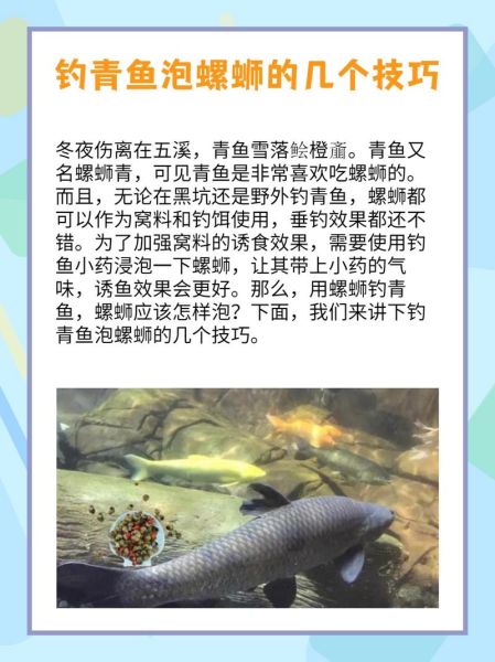 青鱼吃什么食物为主_青鱼最爱吃哪些天然饵料-第1张图片-山城妙识 青鱼吃什么食物为主_青鱼最爱吃哪些天然饵料-第1张图片-山城妙识