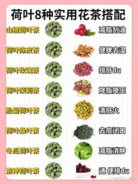 荷叶茶和什么搭配最好减肥_荷叶茶减肥最佳搭配-第1张图片-山城妙识