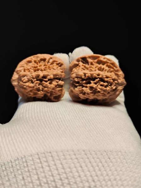 老款狮子头核桃如何鉴别_老款狮子头核桃价格多少-第2张图片-山城妙识 老款狮子头核桃如何鉴别_老款狮子头核桃价格多少-第2张图片-山城妙识