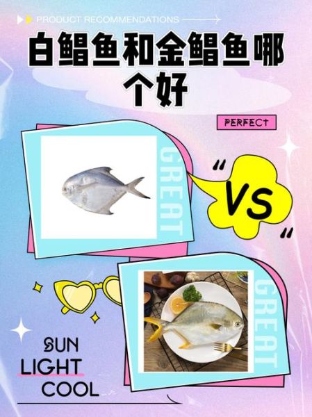 金鲳鱼和白鲳鱼有什么区别_哪个更好吃-第2张图片-山城妙识