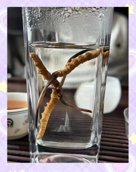 虫草泡水一次几根_虫草泡水用量多少合适-第1张图片-山城妙识 虫草泡水一次几根_虫草泡水用量多少合适-第1张图片-山城妙识