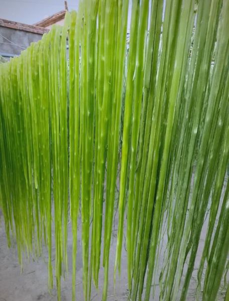 贡菜是什么菜_贡菜长什么样-第1张图片-山城妙识