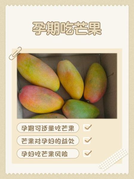 孕妇能吃芒果吗_芒果对胎儿的影响-第1张图片-山城妙识 孕妇能吃芒果吗_芒果对胎儿的影响-第1张图片-山城妙识