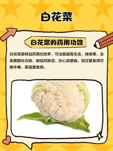 白花菜图片_白花菜和西兰花区别-第3张图片-山城妙识