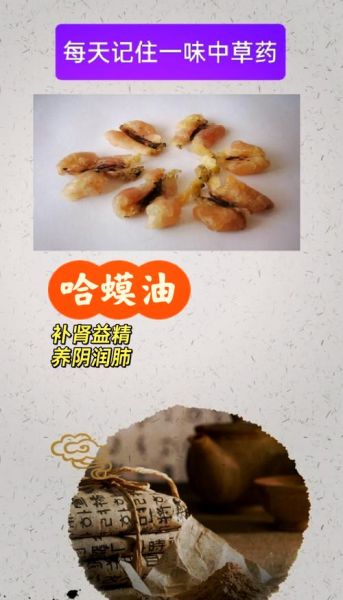 哈士蟆油的功效与作用_哈士蟆油怎么吃最好-第1张图片-山城妙识