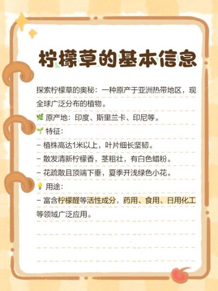 柠檬草长什么样_柠檬草图片怎么识别-第1张图片-山城妙识 柠檬草长什么样_柠檬草图片怎么识别-第1张图片-山城妙识