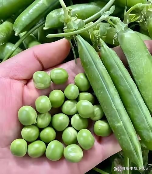 青豆和豌豆的区别_青豆和豌豆哪个营养高-第1张图片-山城妙识 青豆和豌豆的区别_青豆和豌豆哪个营养高-第1张图片-山城妙识
