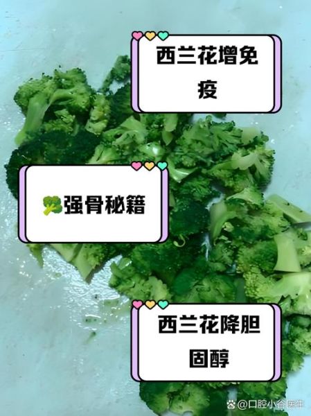 西兰花对孩子的营养价值_西兰花怎么给孩子吃最好-第3张图片-山城妙识