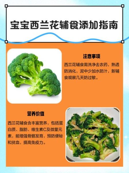 西兰花对孩子的营养价值_西兰花怎么给孩子吃最好-第2张图片-山城妙识