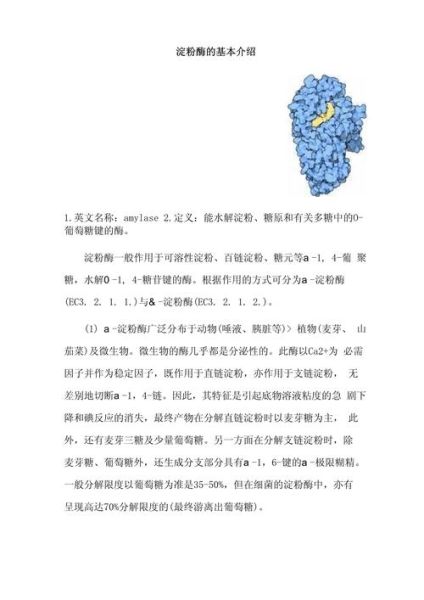 淀粉酶的作用是什么_淀粉酶在消化中的功能-第1张图片-山城妙识