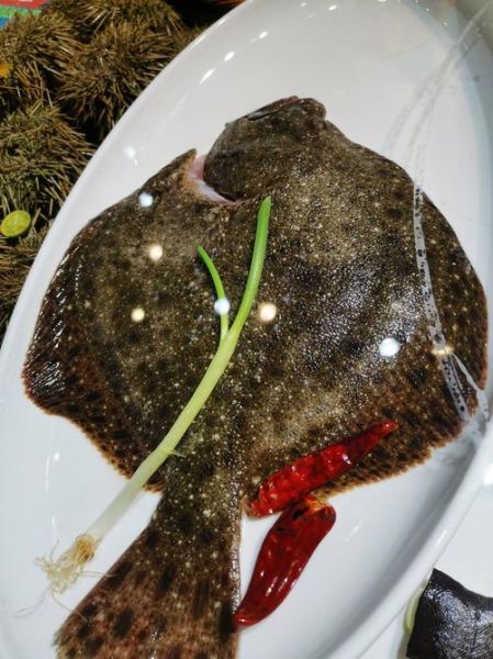 多宝鱼好吃吗_多宝鱼口感怎么样-第3张图片-山城妙识