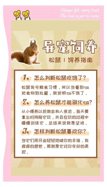 松鼠怎么养_松鼠能活多久-第1张图片-山城妙识