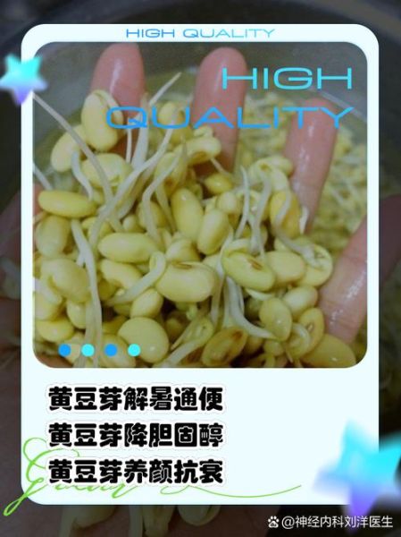豆芽的营养价值_吃豆芽有哪些好处-第2张图片-山城妙识