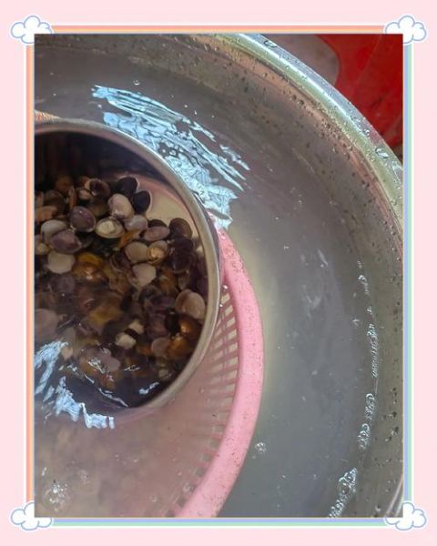 河蚌肉怎么清洗_河蚌肉怎么炒才嫩-第1张图片-山城妙识 河蚌肉怎么清洗_河蚌肉怎么炒才嫩-第1张图片-山城妙识