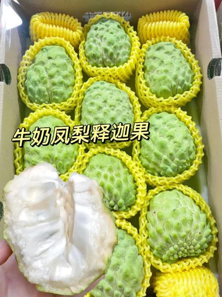 释迦凤梨怎么挑_释迦凤梨和凤梨释迦区别-第3张图片-山城妙识 释迦凤梨怎么挑_释迦凤梨和凤梨释迦区别-第3张图片-山城妙识