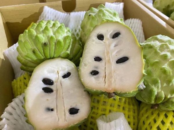 释迦凤梨怎么挑_释迦凤梨和凤梨释迦区别-第2张图片-山城妙识 释迦凤梨怎么挑_释迦凤梨和凤梨释迦区别-第2张图片-山城妙识