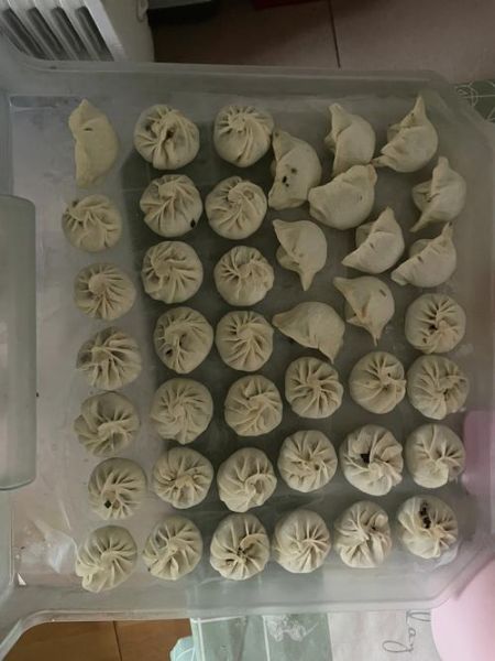 饺子皮怎么做包子_饺子皮能包包子吗-第2张图片-山城妙识