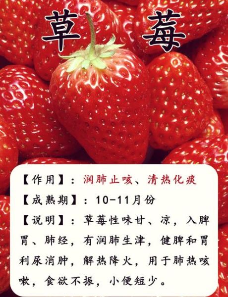 秋季吃什么水果去火_哪些水果降火效果好-第2张图片-山城妙识 秋季吃什么水果去火_哪些水果降火效果好-第2张图片-山城妙识