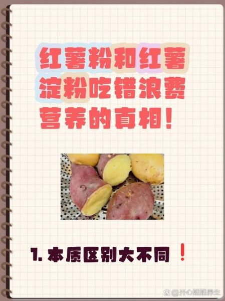 淀粉是红薯粉吗_红薯淀粉和红薯粉区别-第2张图片-山城妙识