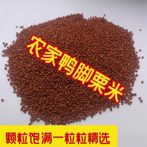 粟米粉是什么做的_粟米粉可以做什么美食-第3张图片-山城妙识