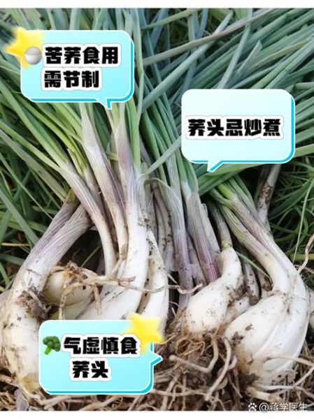 荞头不能和什么一起吃_荞头同食禁忌有哪些-第1张图片-山城妙识