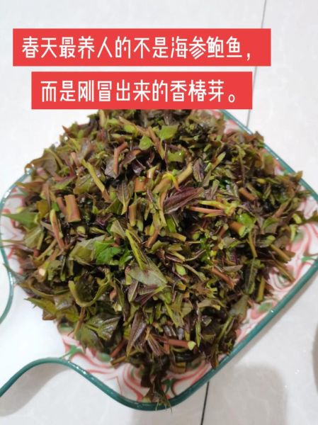 香椿芽炒鸡蛋要焯水吗_香椿芽焯水多久-第3张图片-山城妙识 香椿芽炒鸡蛋要焯水吗_香椿芽焯水多久-第3张图片-山城妙识