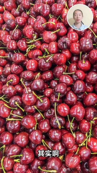 樱桃一天可以吃多少颗_吃多了会怎样-第3张图片-山城妙识