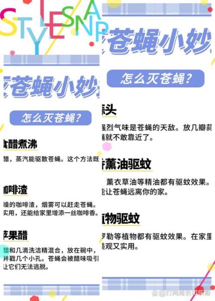 苍蝇怎么消灭_苍蝇怕什么气味-第2张图片-山城妙识