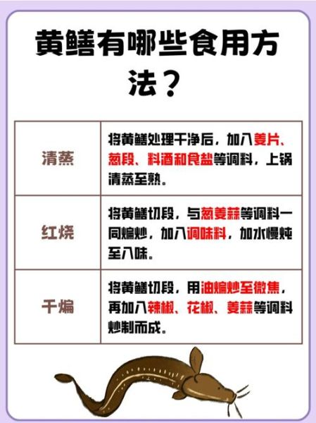 鳝鱼怎么杀_鳝鱼宰杀技巧-第2张图片-山城妙识