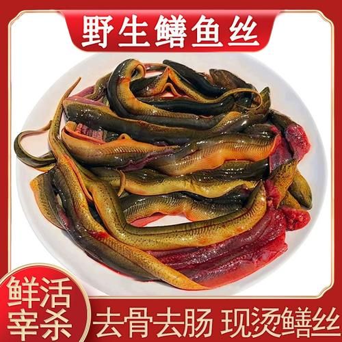 鳝鱼怎么杀_鳝鱼宰杀技巧-第1张图片-山城妙识