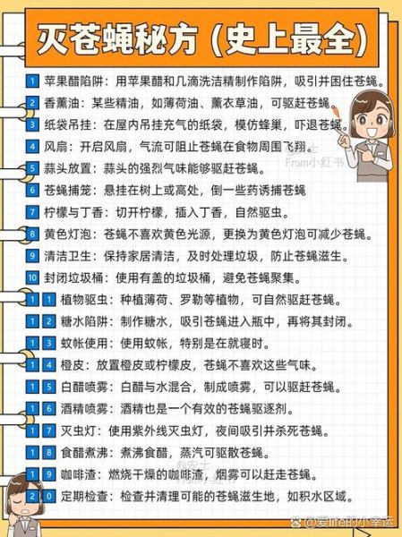 苍蝇怎么消灭_苍蝇怕什么气味-第3张图片-山城妙识