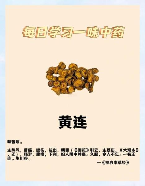 蜜饯黄连的功效与作用_蜜饯黄连怎么做-第1张图片-山城妙识 蜜饯黄连的功效与作用_蜜饯黄连怎么做-第1张图片-山城妙识