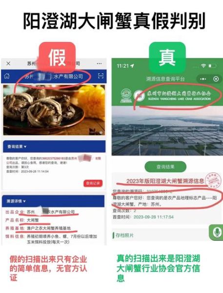 阳澄湖大闸蟹蟹卡骗局有哪些套路_如何识别真假蟹卡-第2张图片-山城妙识 阳澄湖大闸蟹蟹卡骗局有哪些套路_如何识别真假蟹卡-第2张图片-山城妙识