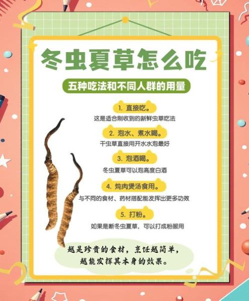 虫草怎么吃最有效_虫草一天吃多少克-第1张图片-山城妙识 虫草怎么吃最有效_虫草一天吃多少克-第1张图片-山城妙识