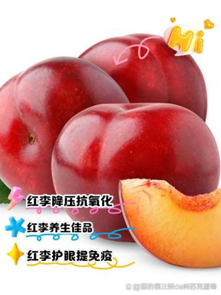 李子有什么功效与作用_李子营养价值高吗-第1张图片-山城妙识 李子有什么功效与作用_李子营养价值高吗-第1张图片-山城妙识