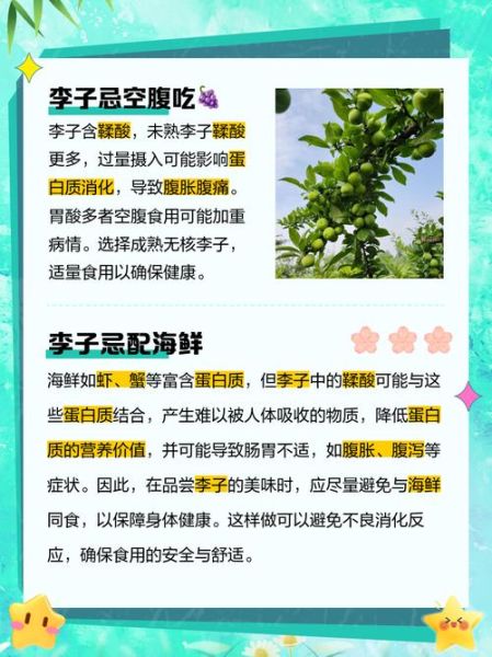 李子有什么功效与作用_李子营养价值高吗-第2张图片-山城妙识 李子有什么功效与作用_李子营养价值高吗-第2张图片-山城妙识