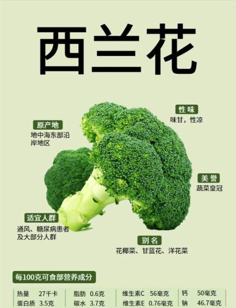 西兰花吃多了有什么坏处_西兰花过量摄入危害-第1张图片-山城妙识 西兰花吃多了有什么坏处_西兰花过量摄入危害-第1张图片-山城妙识