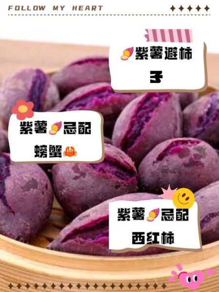 紫薯不能和什么一起吃_紫薯相克食物有哪些-第3张图片-山城妙识