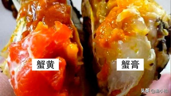 蟹膏是螃蟹的精子吗_蟹黄蟹膏区别-第3张图片-山城妙识 蟹膏是螃蟹的精子吗_蟹黄蟹膏区别-第3张图片-山城妙识