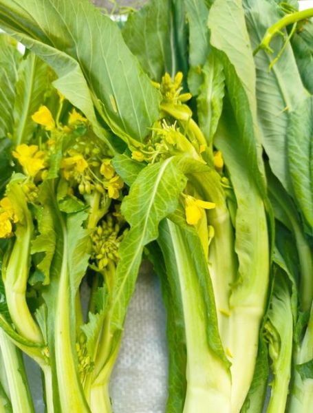 迟菜心怎么做好吃_迟菜心做法大全-第3张图片-山城妙识 迟菜心怎么做好吃_迟菜心做法大全-第3张图片-山城妙识