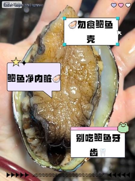 鲍鱼不能和什么一起吃_鲍鱼相克食物有哪些-第3张图片-山城妙识 鲍鱼不能和什么一起吃_鲍鱼相克食物有哪些-第3张图片-山城妙识