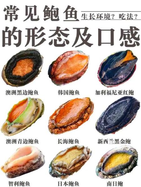 鲍鱼不能和什么一起吃_鲍鱼相克食物有哪些-第2张图片-山城妙识 鲍鱼不能和什么一起吃_鲍鱼相克食物有哪些-第2张图片-山城妙识