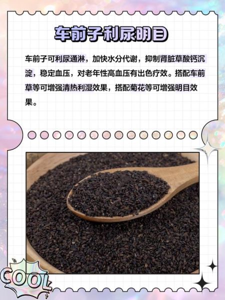 车前子和车前草的功效区别_哪个更适合泡水-第2张图片-山城妙识