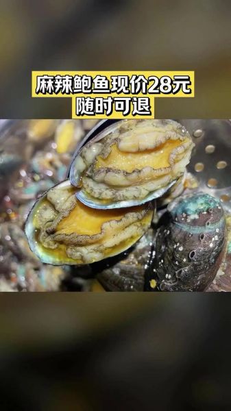 鲍鱼和生蚝哪个壮阳_男人吃哪个更有效-第3张图片-山城妙识 鲍鱼和生蚝哪个壮阳_男人吃哪个更有效-第3张图片-山城妙识