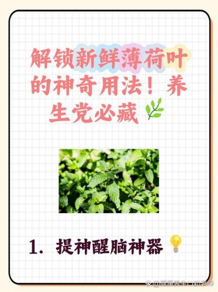 凉拌薄荷叶怎么做_薄荷叶凉拌要不要焯水-第3张图片-山城妙识 凉拌薄荷叶怎么做_薄荷叶凉拌要不要焯水-第3张图片-山城妙识